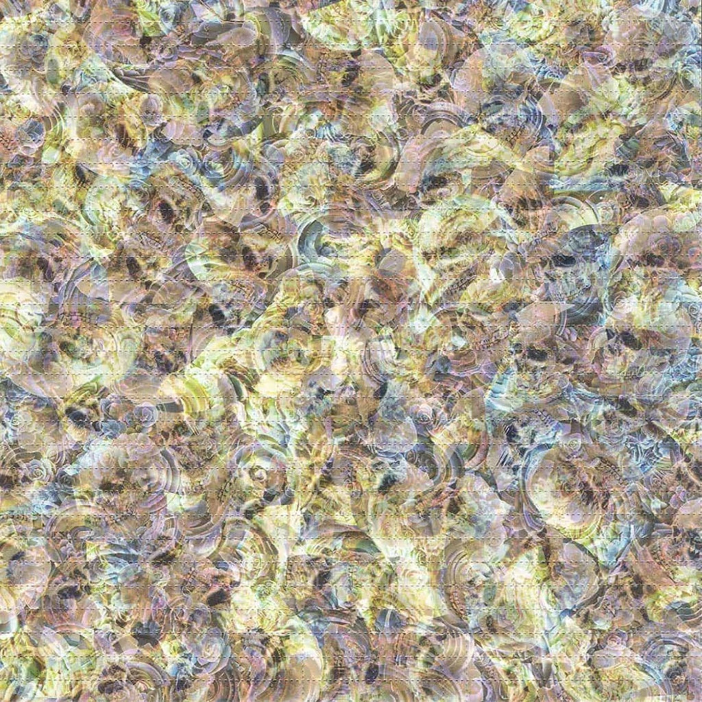 Grateful Dead Skull and Roses Blotter Art – Jack-a-Roe Jackalope's Emporium